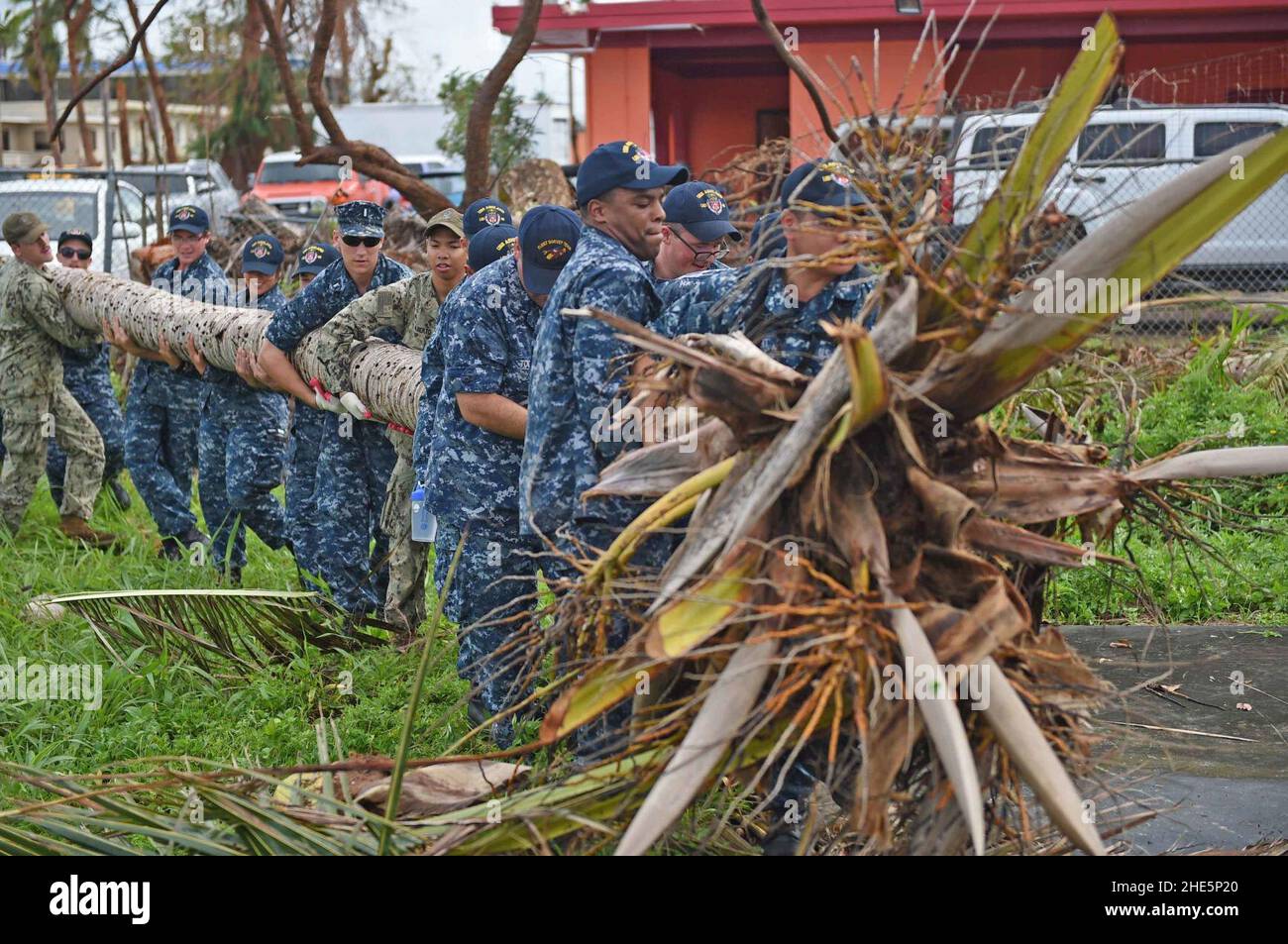 Sailors move a fallen coconut tree. (20854638781 Stock Photo - Alamy