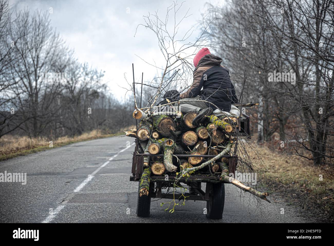 Logging truck transporting tree logs hi-res stock photography and ...