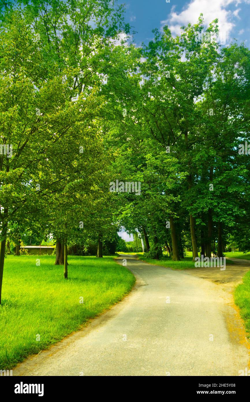 Summer green meadow trees hi-res stock photography and images - Alamy