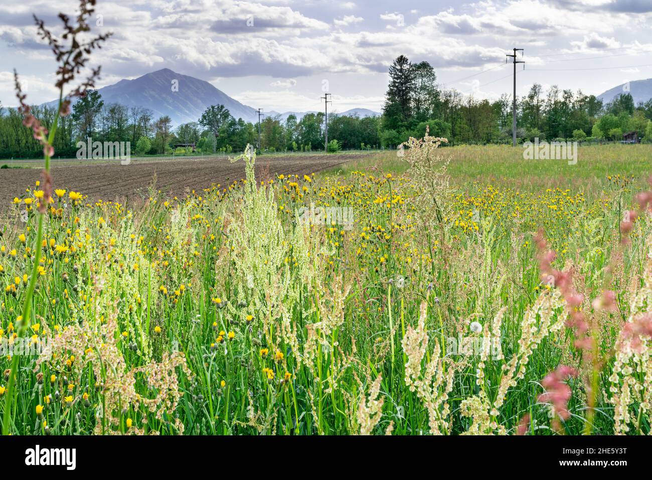Tourism biodiversity rural countryside hi-res stock photography and ...
