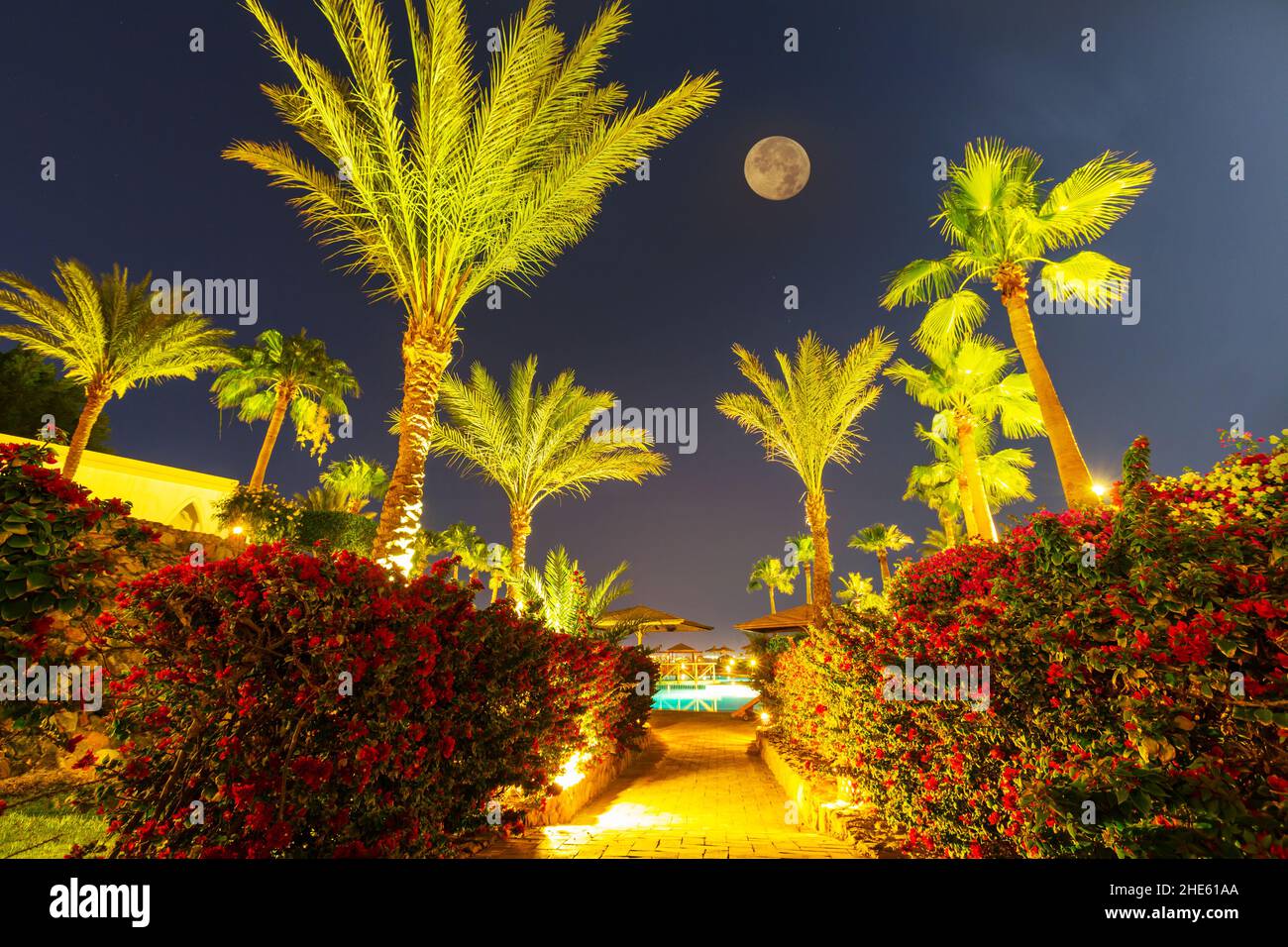 Tropical resort at night in moonlight Stock Photo - Alamy