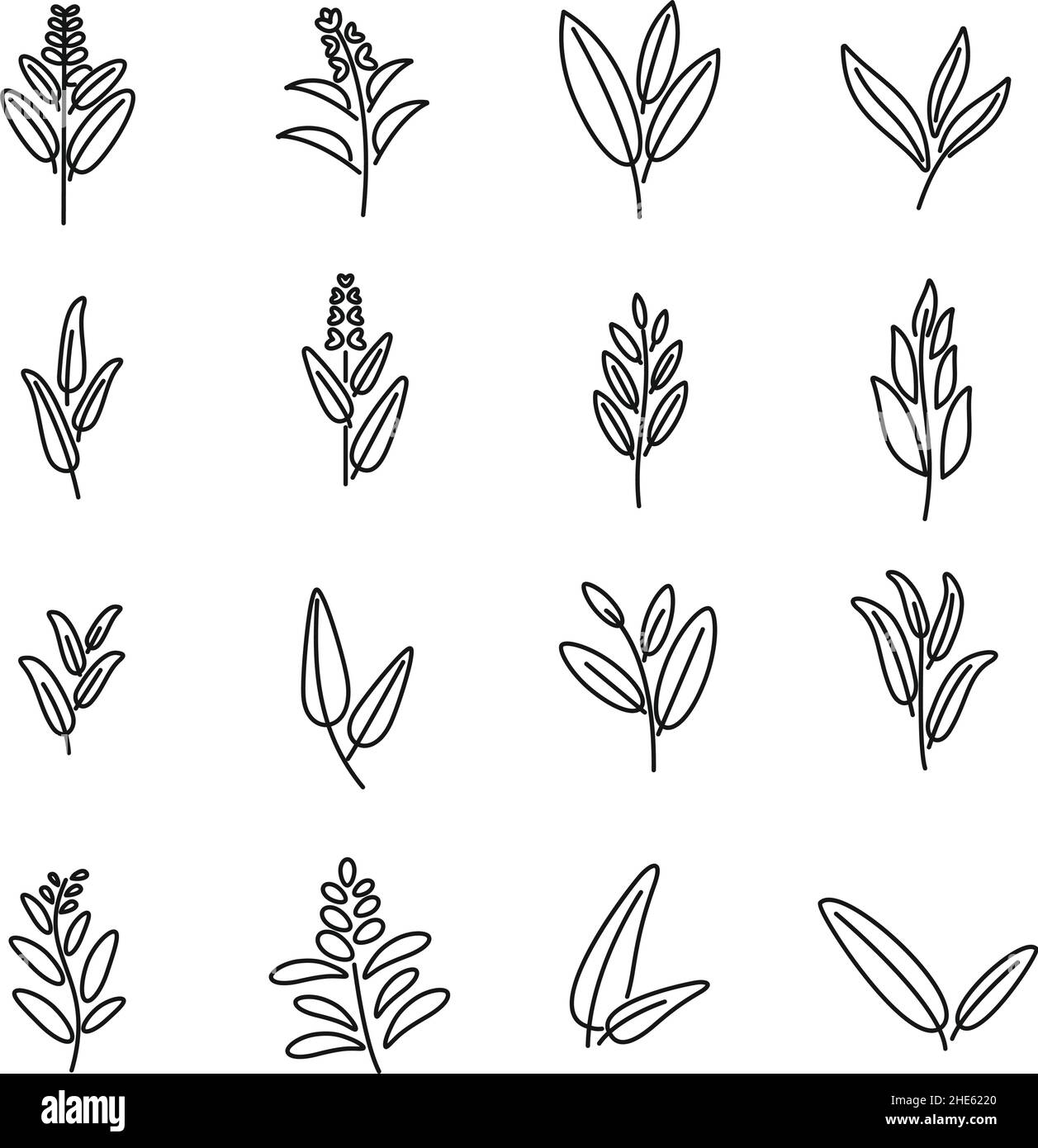 Sage icons set outline vector. Flower leaf. Garden health Stock Vector ...