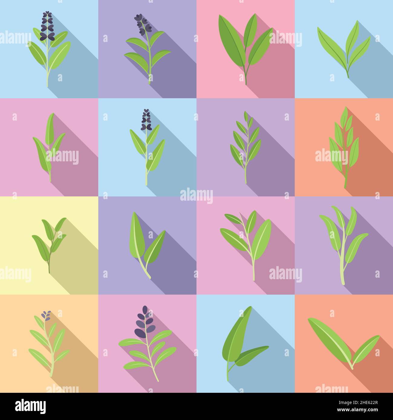 Sage icons set flat vector. Flower leaf. Garden health Stock Vector ...