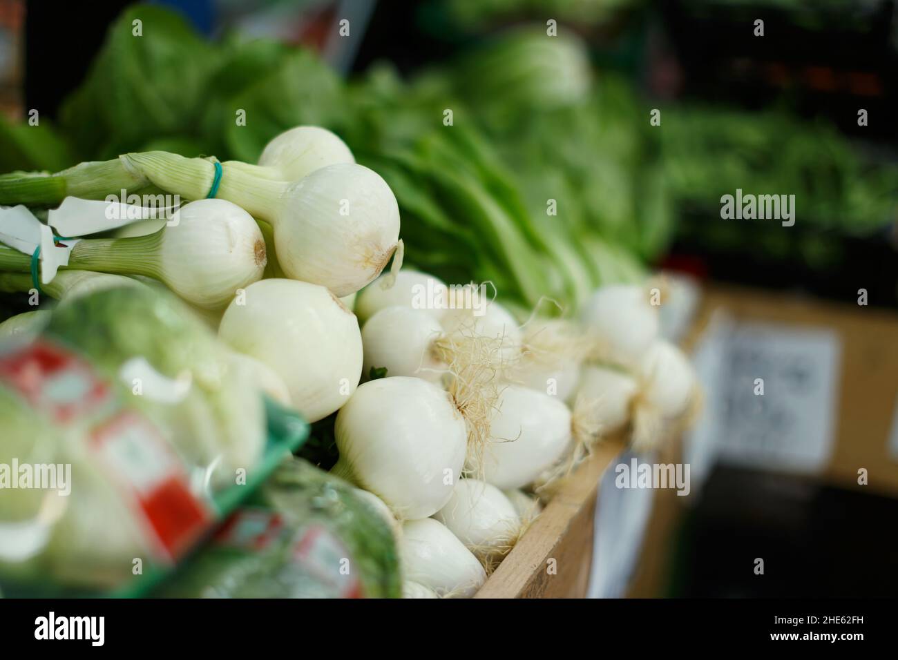 Green onions in boxes at supermarket Stock Photo - Alamy