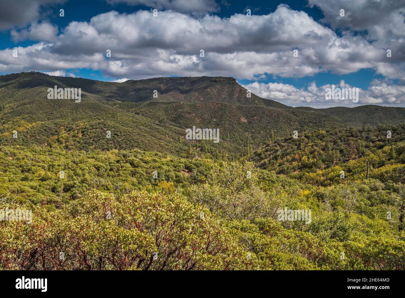 Area 52 hi-res stock photography and images - Alamy