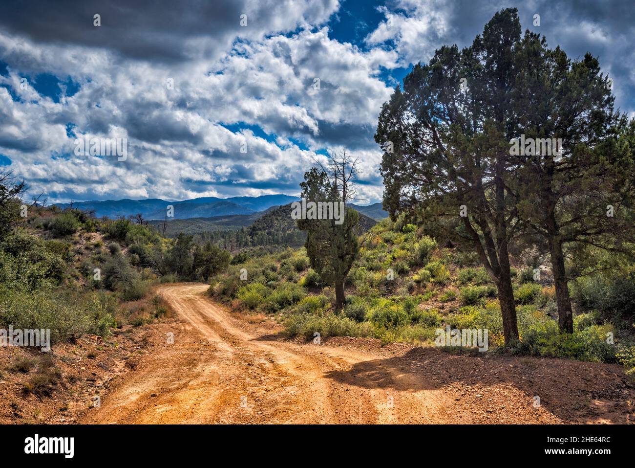 Goodwin site hi-res stock photography and images - Alamy