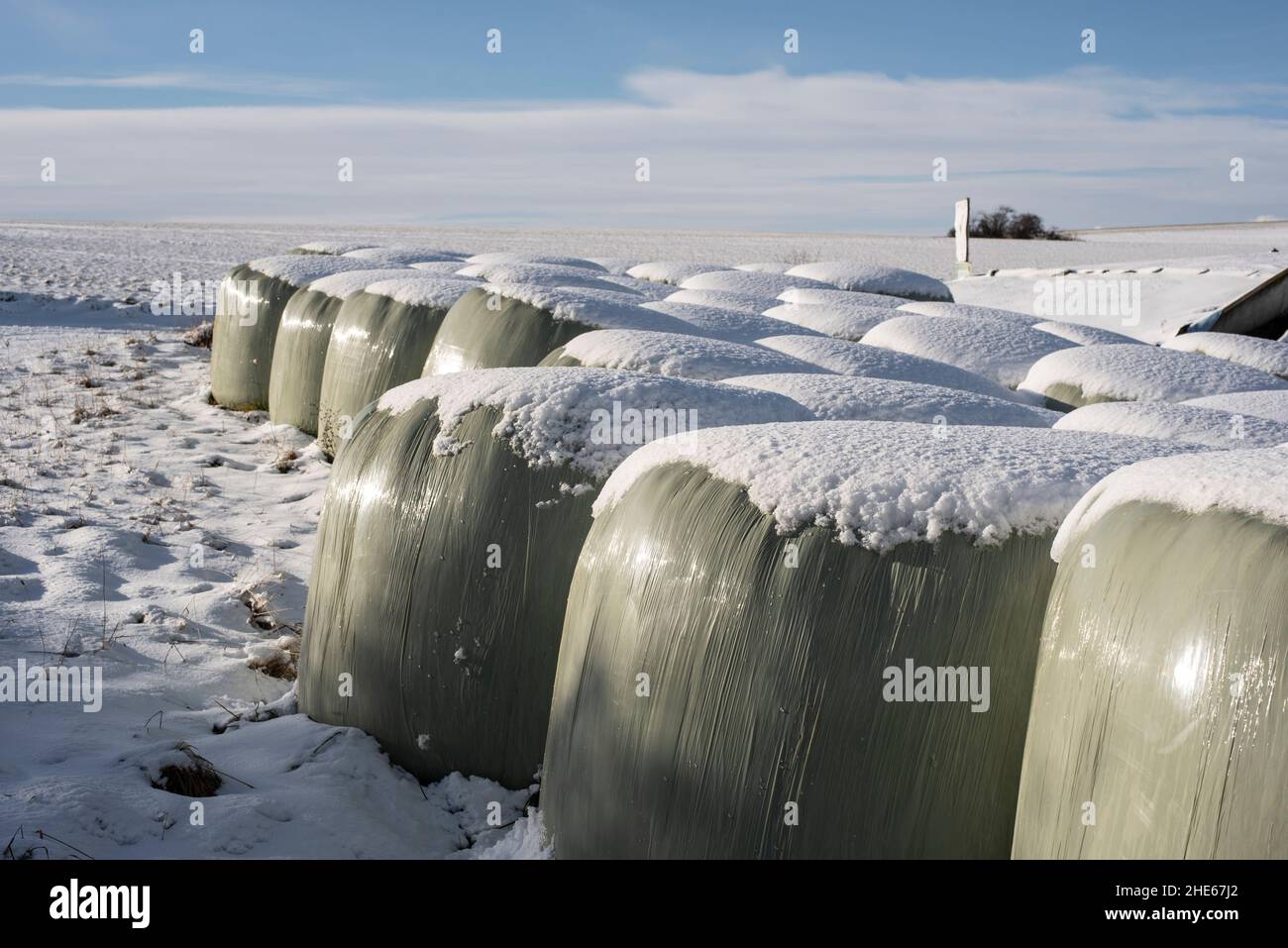 Covered silage bales hi-res stock photography and images - Alamy