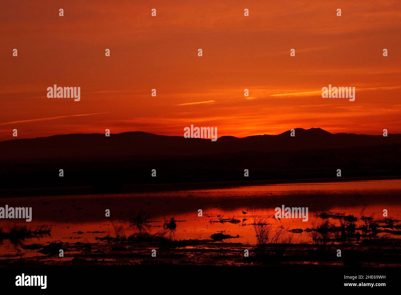Wetland landscape at sunset hi-res stock photography and images - Alamy