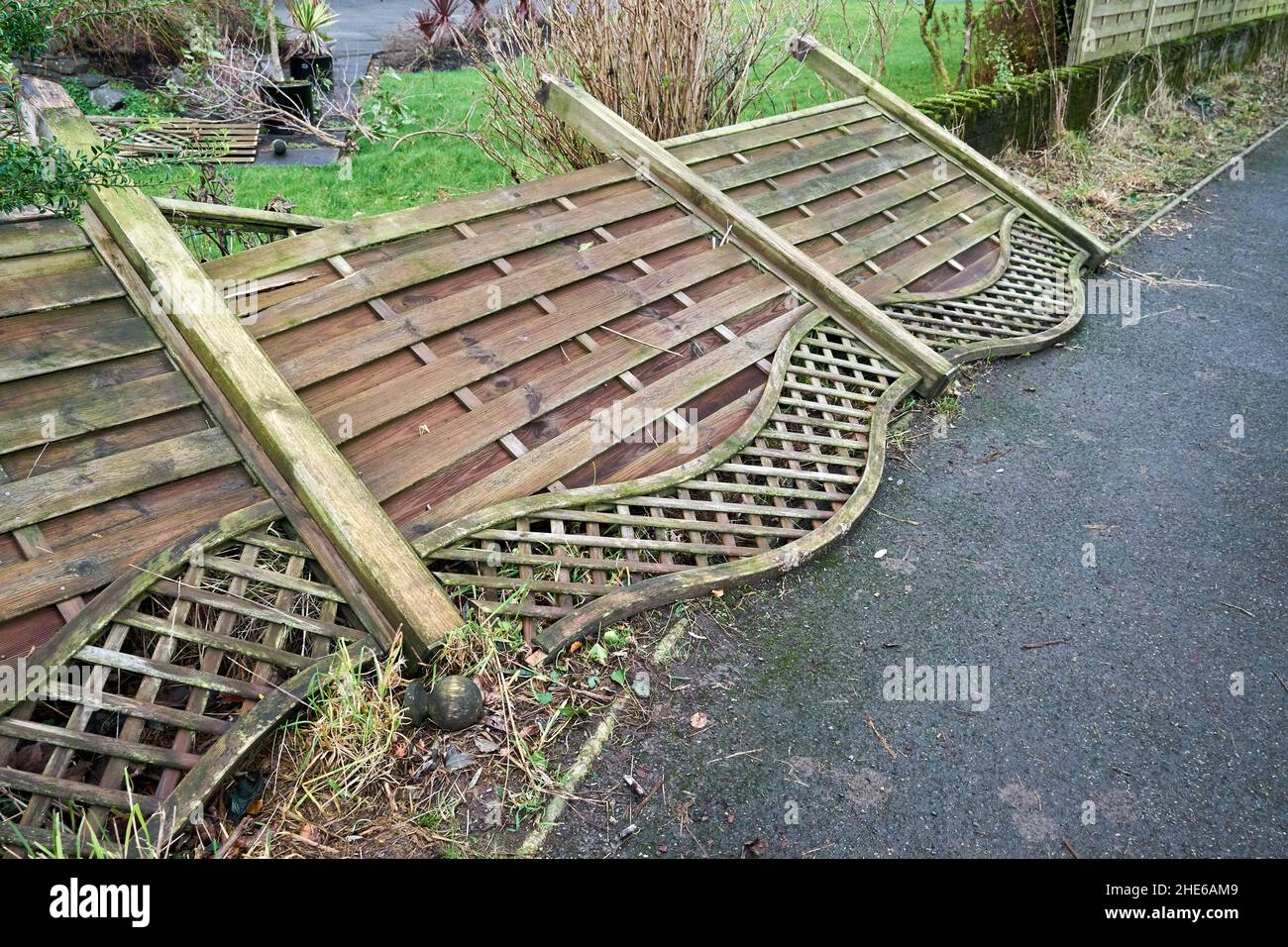 Wooden fencing panels blown down after a severe winters storm Stock ...