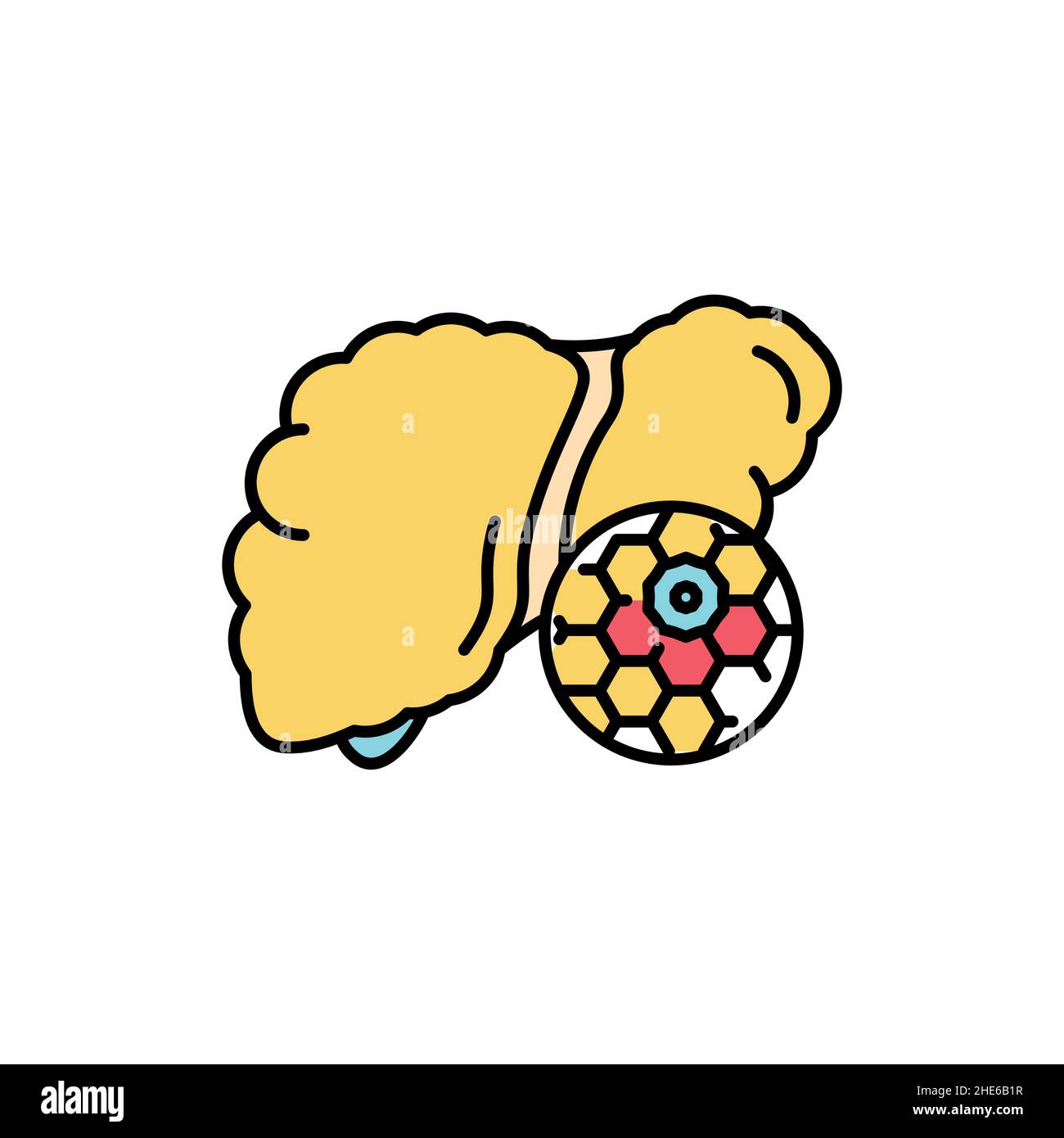 Hepatosis liver color line icon. Human diseases Stock Vector Image ...