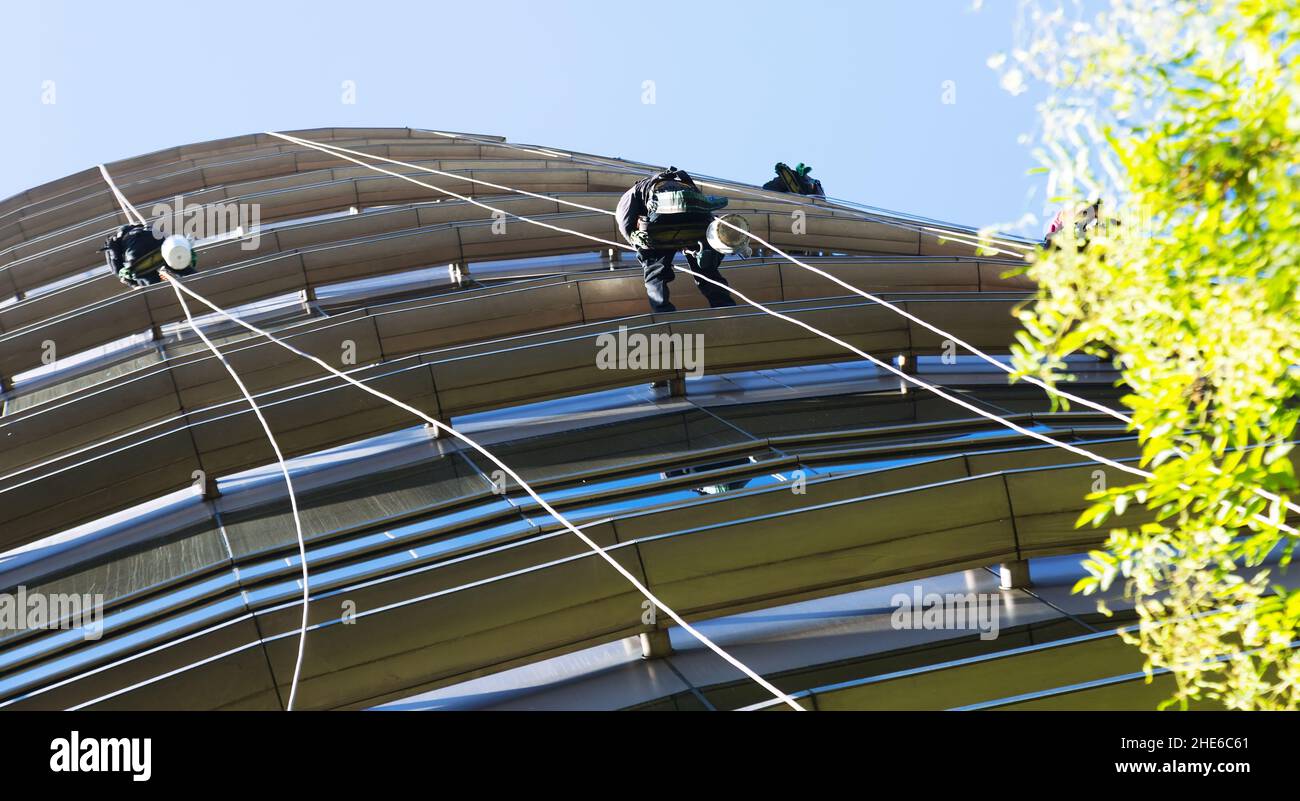 Industrial alpinists cleaning skyscraper Stock Photo - Alamy