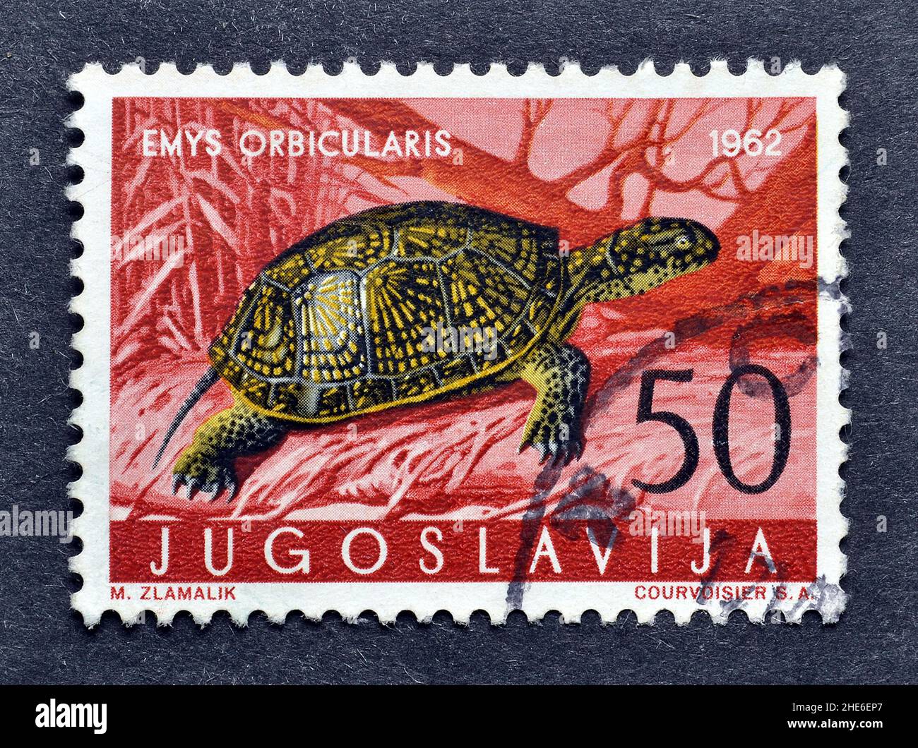 Cancelled postage stamp printed by Yugoslavia, that shows European Pond ...