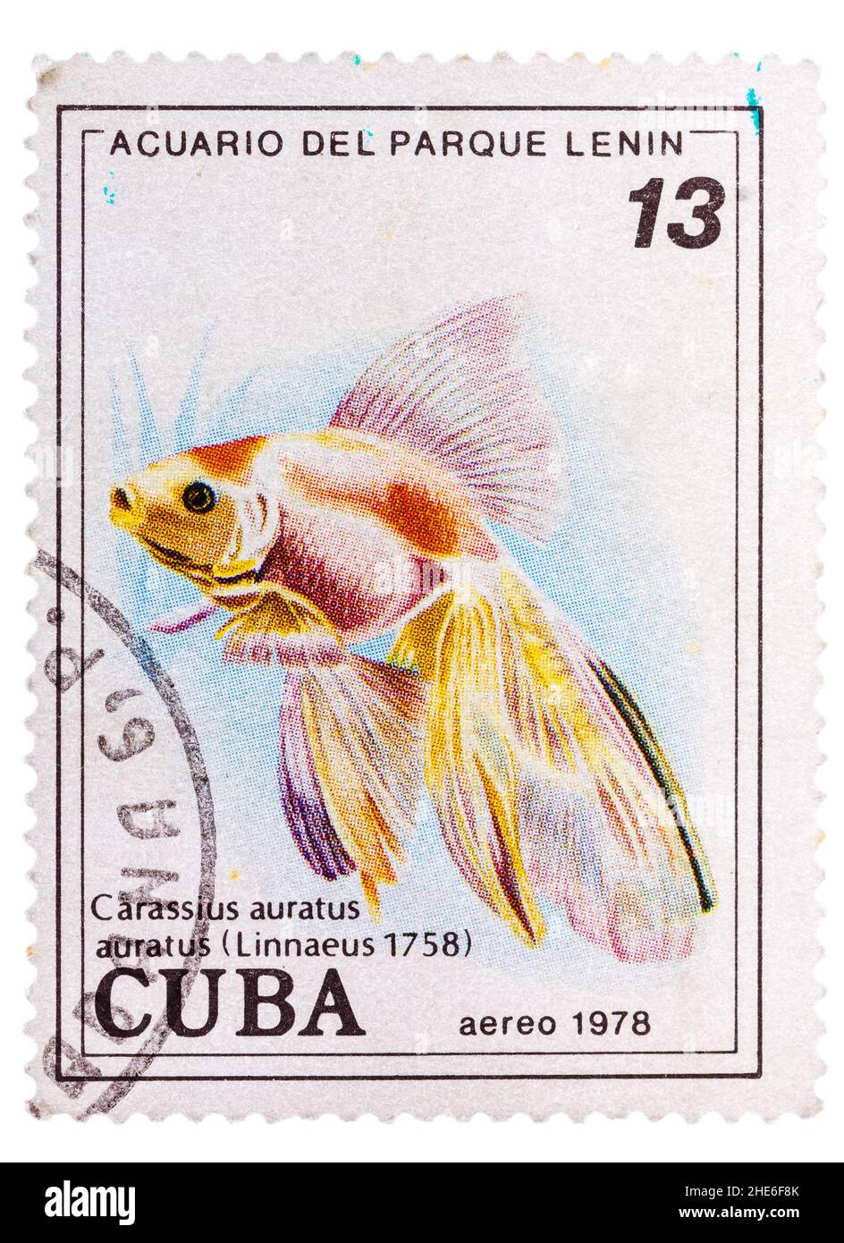 Postage stamp printed in the Cuba shows carassius auratus auratus ...