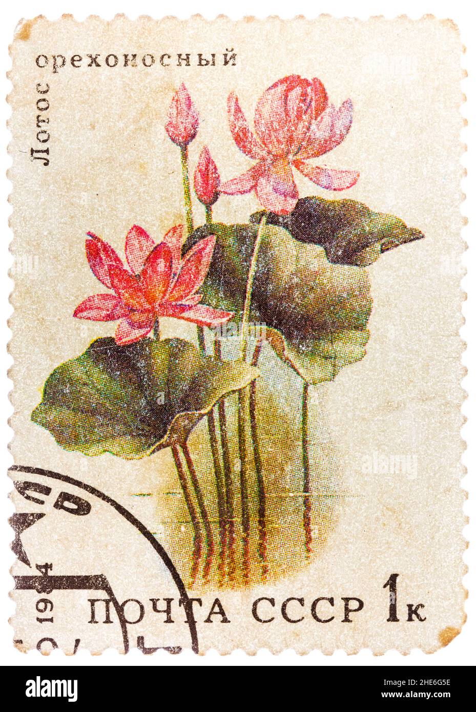 Post stamp printed in USSR (CCCP, soviet union) shows image of lotus ...