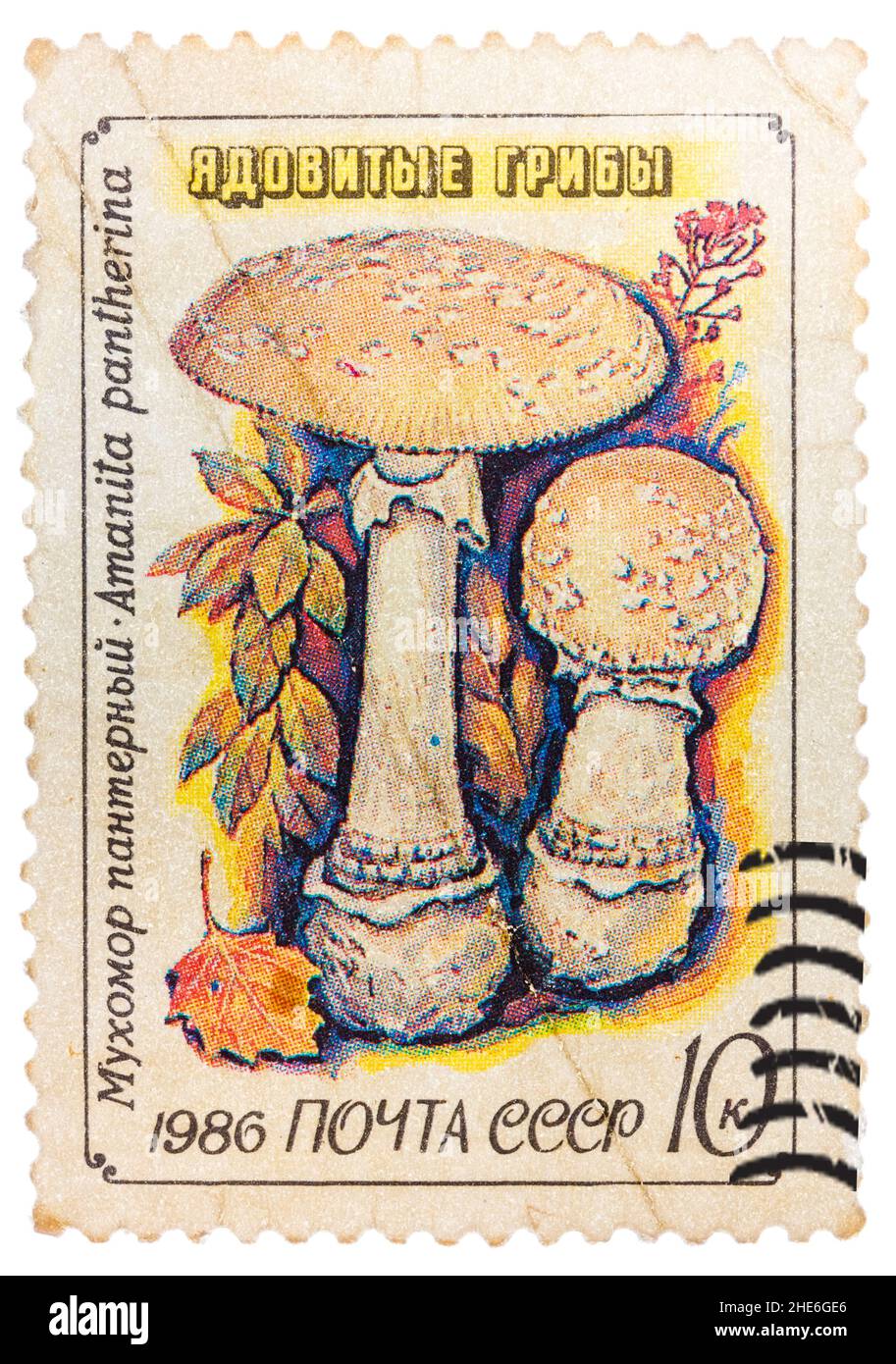 Post stamp printed in USSR (CCCP, soviet union) shows poisonous panther ...