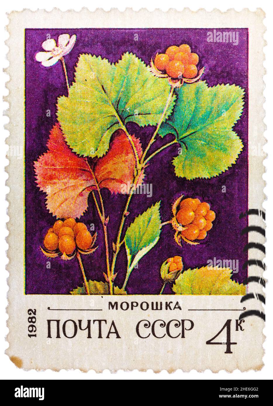 Post stamp printed in USSR (CCCP, soviet union) shows image of ...