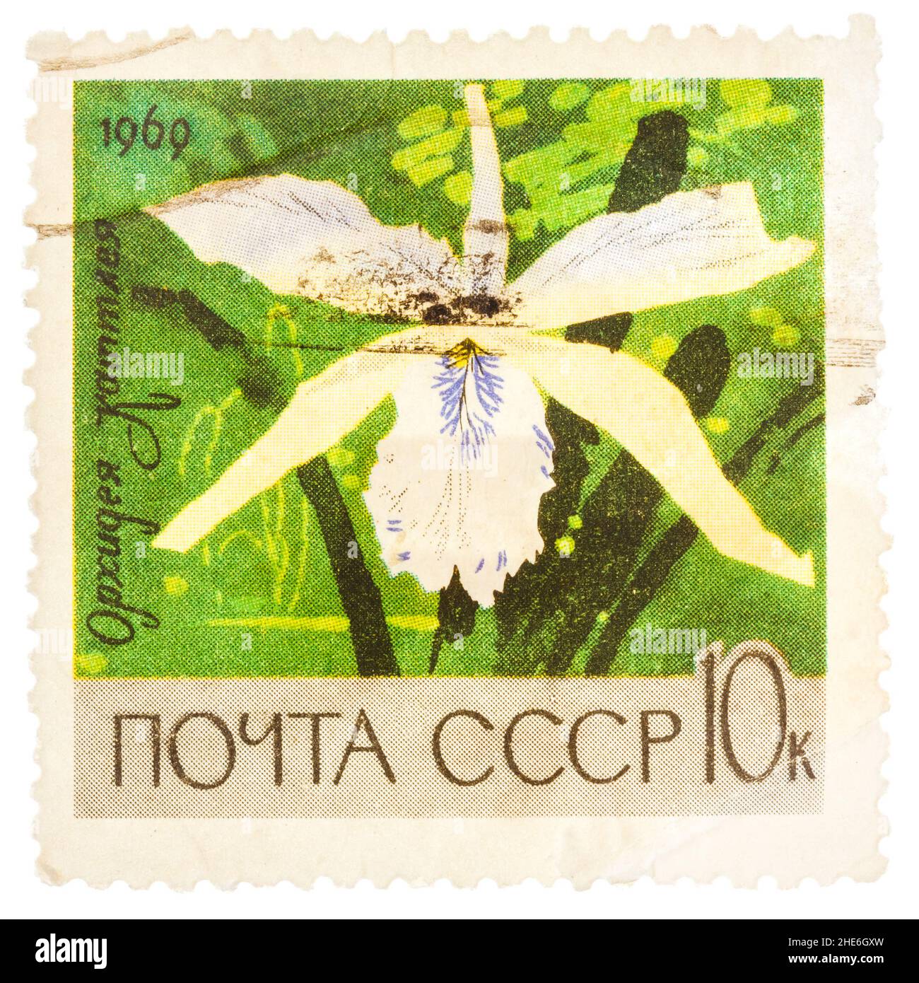 Botanical garden series Cut Out Stock Images & Pictures - Alamy