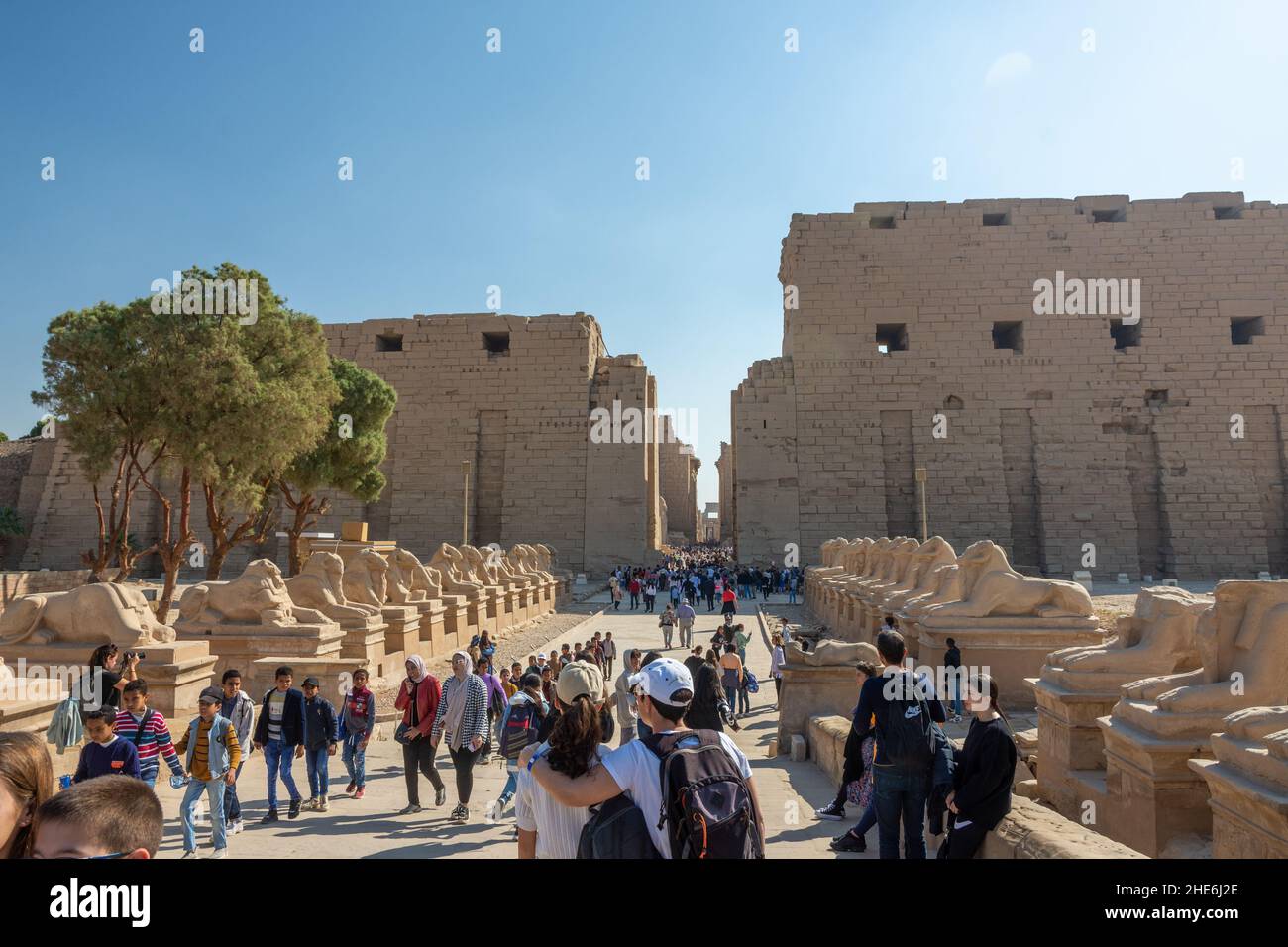 A crowd of people at the entrance of the Karnak temple complex in Luxor ...