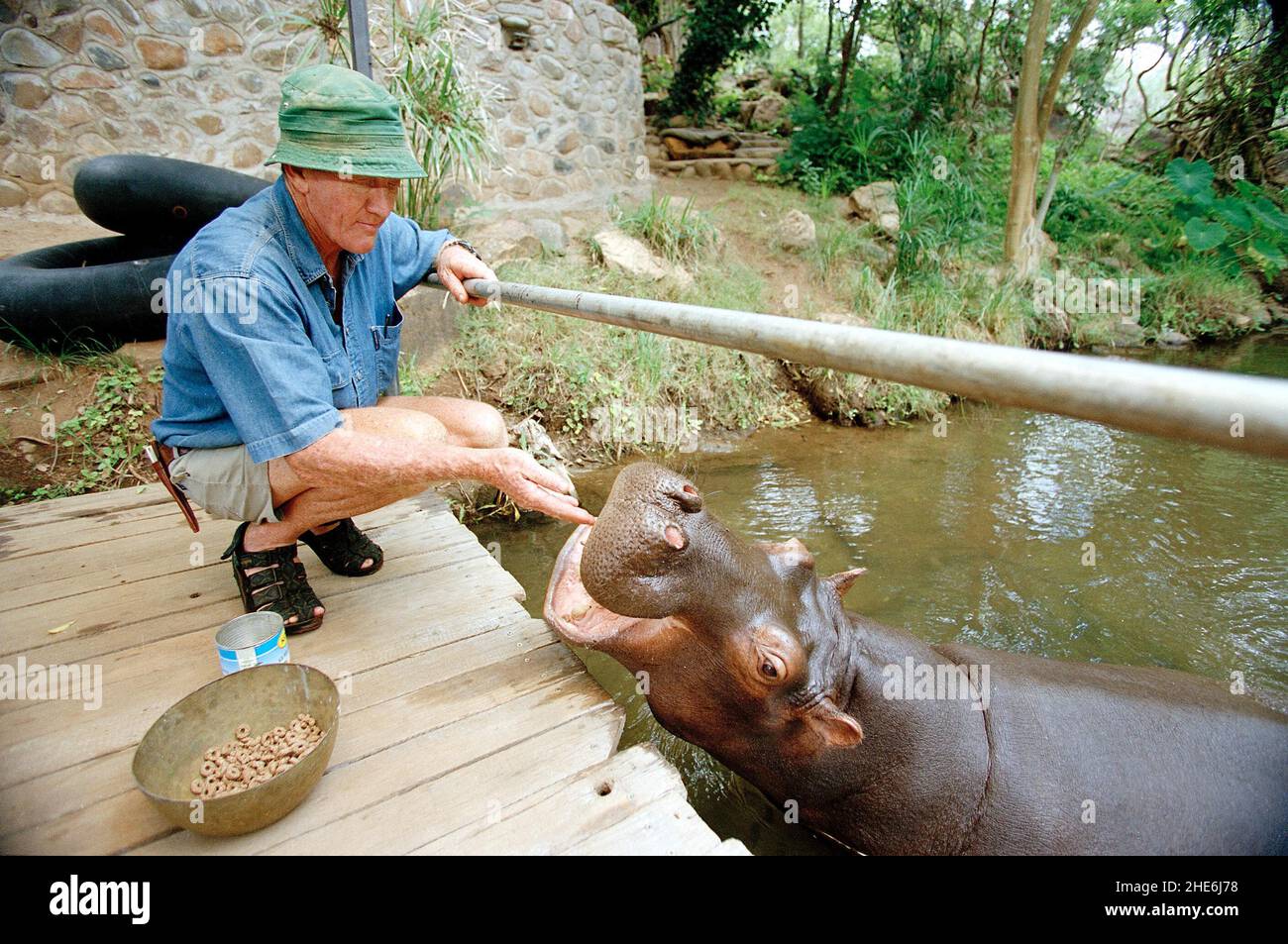 JESS THE HIPPO THE ONLY TAME HIPPO IN THE WORLD WHO HAS BEEN RAISED BY ...