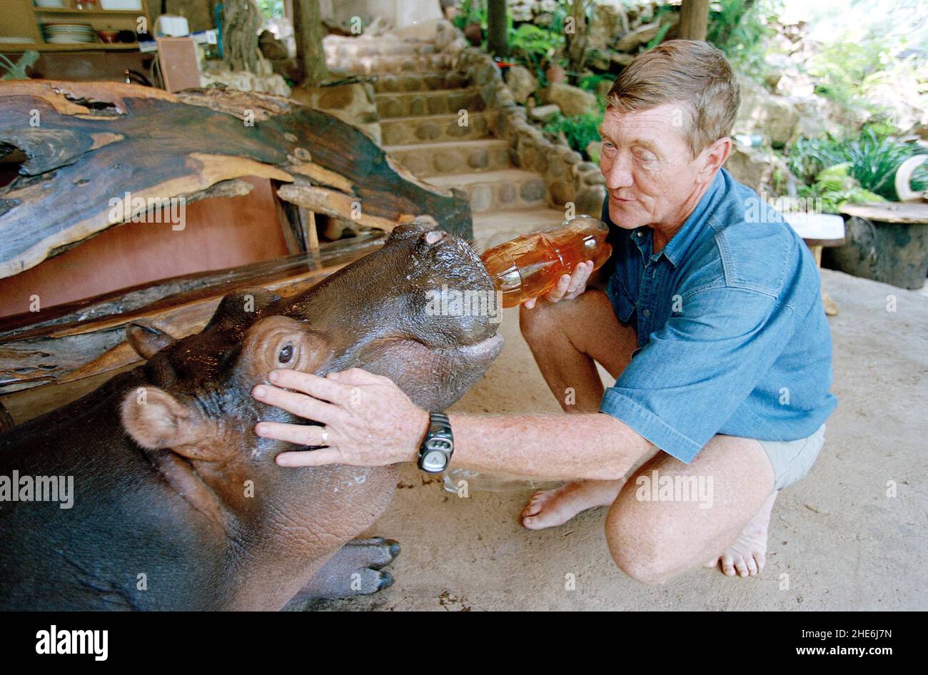 JESS THE HIPPO THE ONLY TAME HIPPO IN THE WORLD WHO HAS BEEN RAISED BY ...