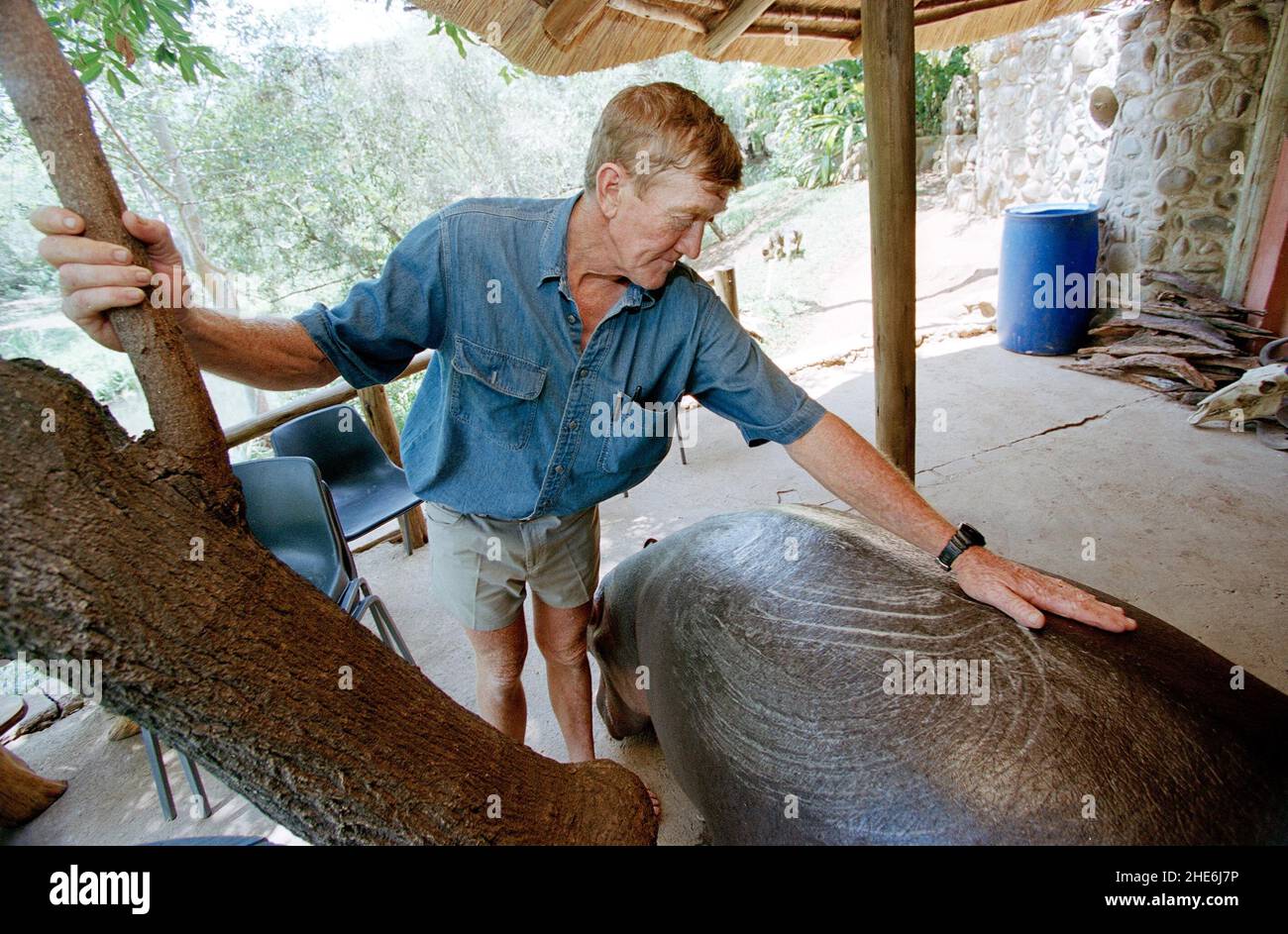 JESS THE HIPPO THE ONLY TAME HIPPO IN THE WORLD WHO HAS BEEN RAISED BY ...