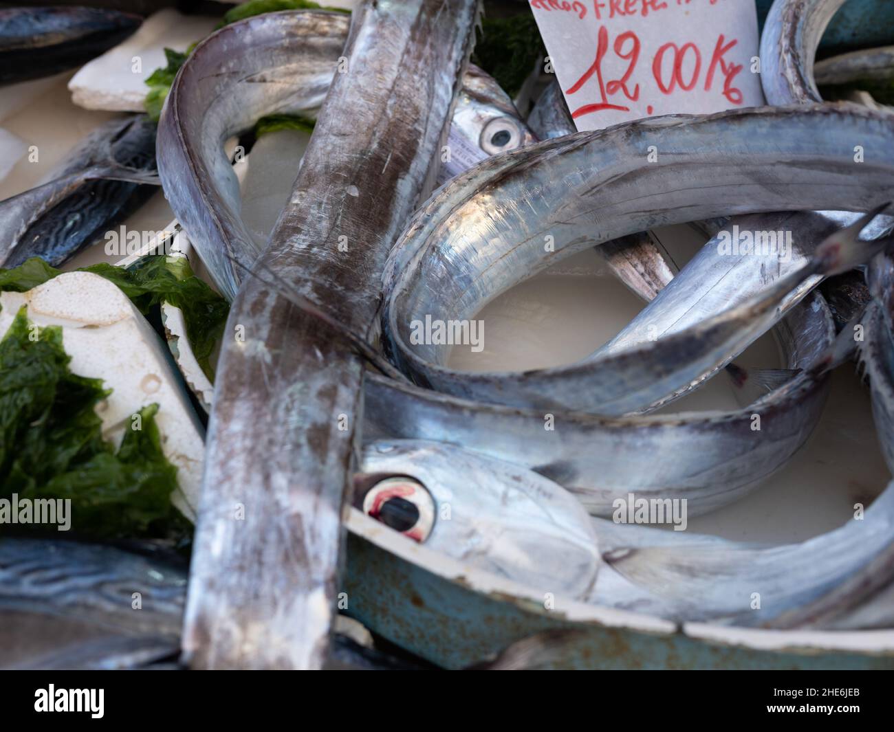 Mediterranean Fish in open seamarket, Napoli Stock Photo - Alamy