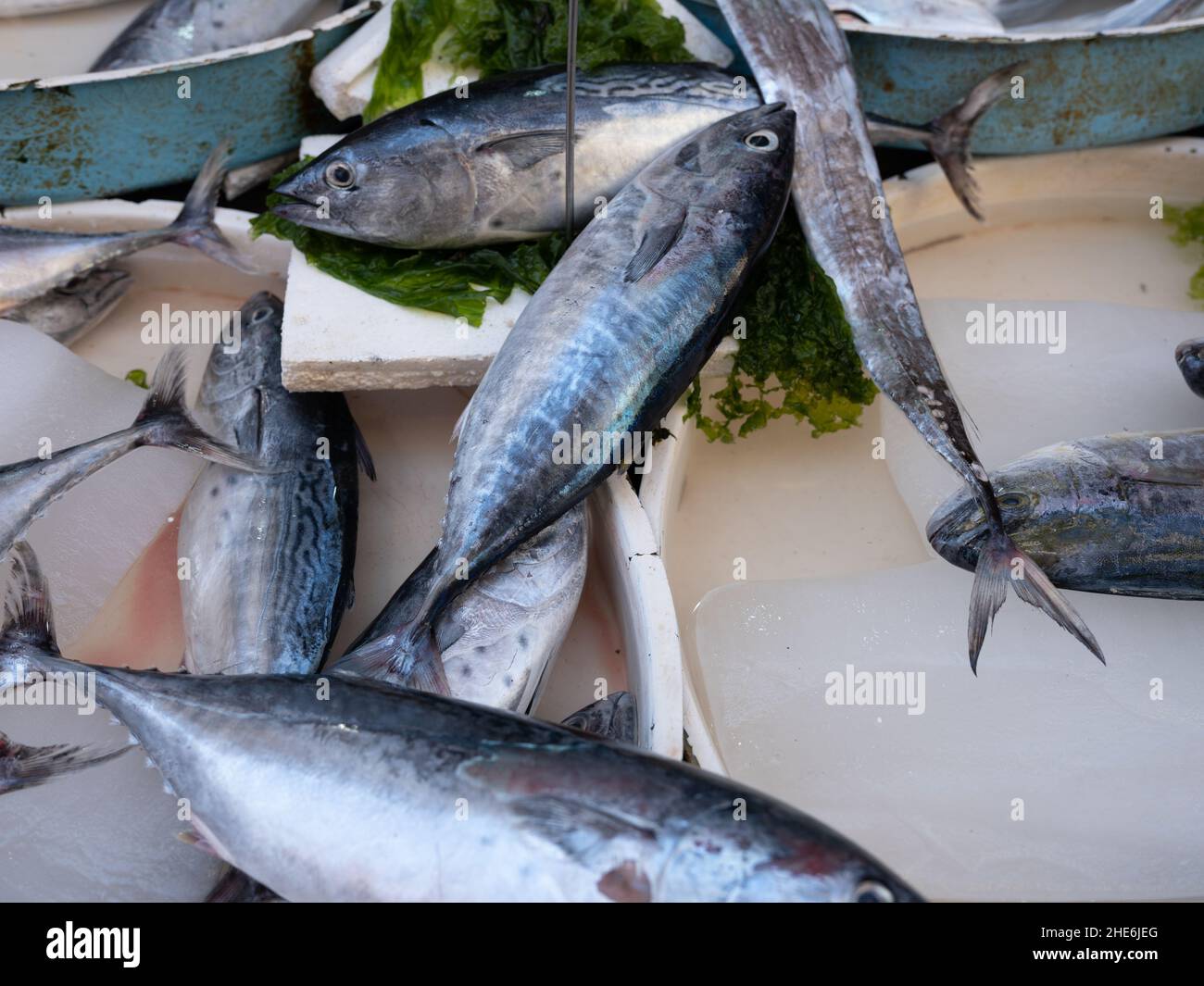Mediterranean Fish in open seamarket, Napoli Stock Photo - Alamy