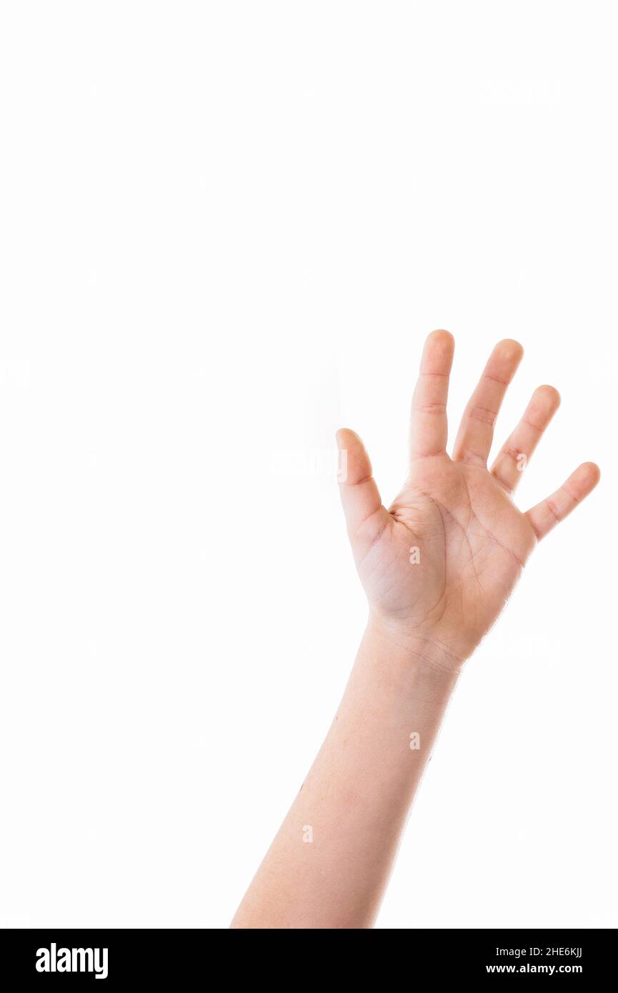 close up of a hand counting five. Woman hand showing the five fingers ...