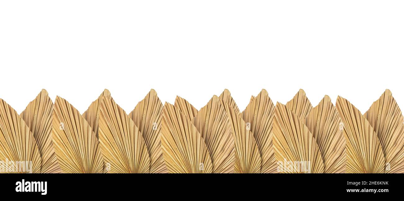 Dry leaf border on white background. Banner woth leaves, copy space ...