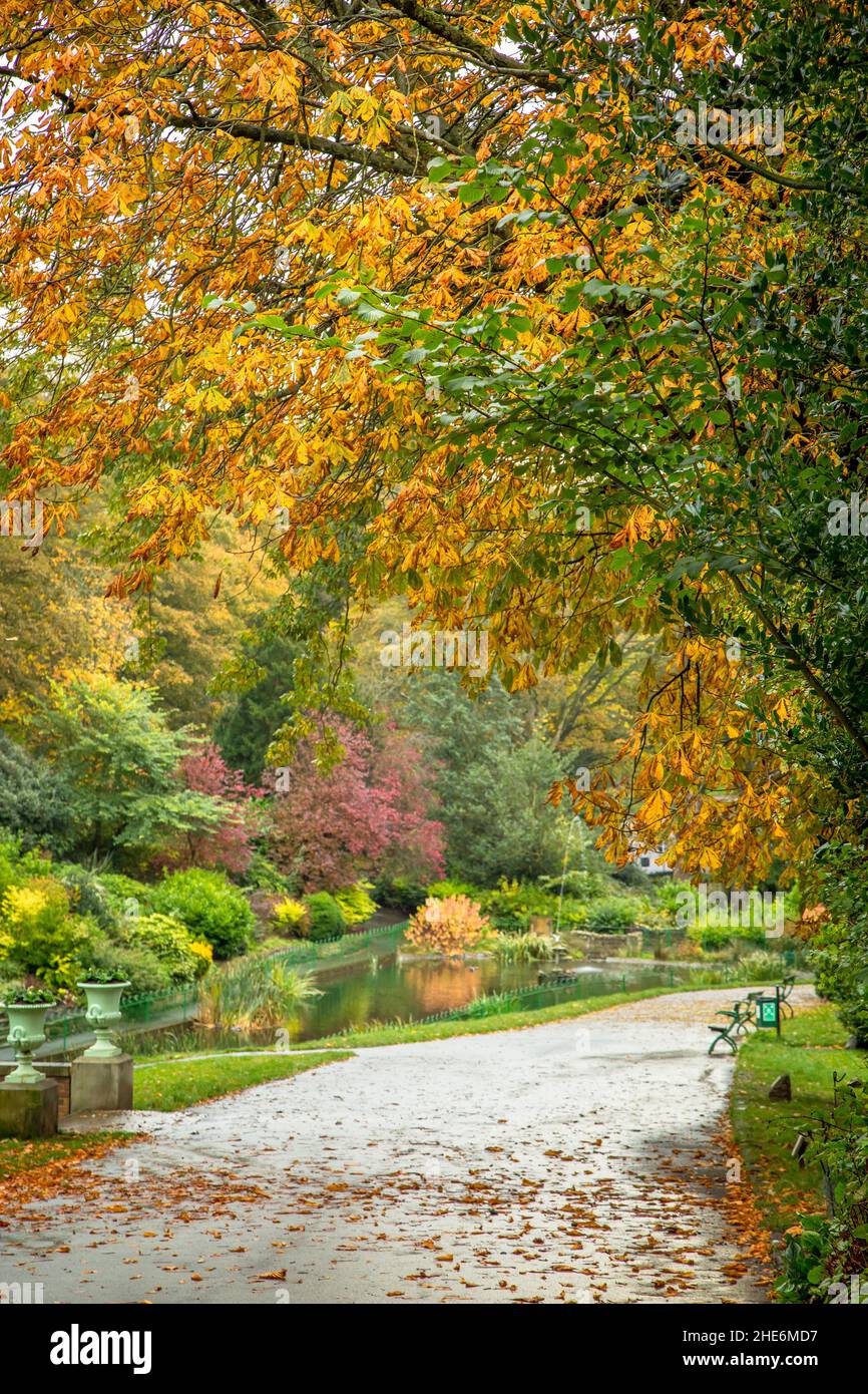 Trees with their leaves in full Autumn color, with orange, red, brown ...
