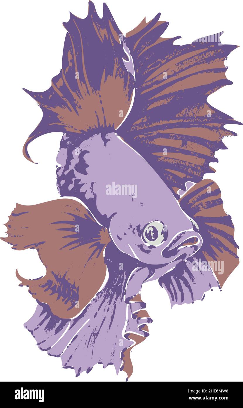 Vector illustration of beautiful fish. Hand drawn colorful isolated ...