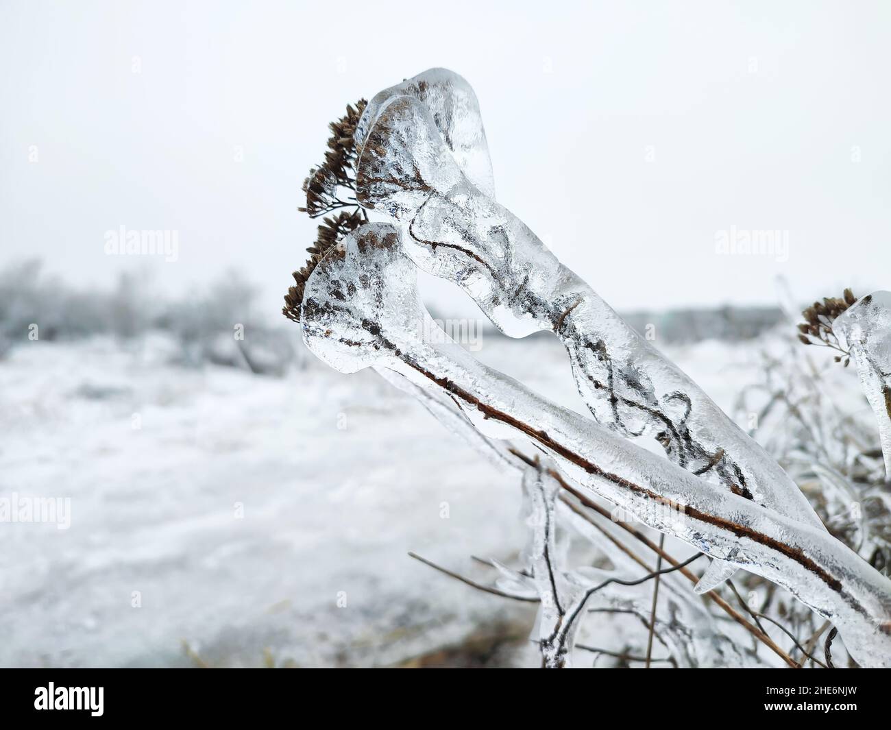 Glaze storm hi-res stock photography and images - Alamy