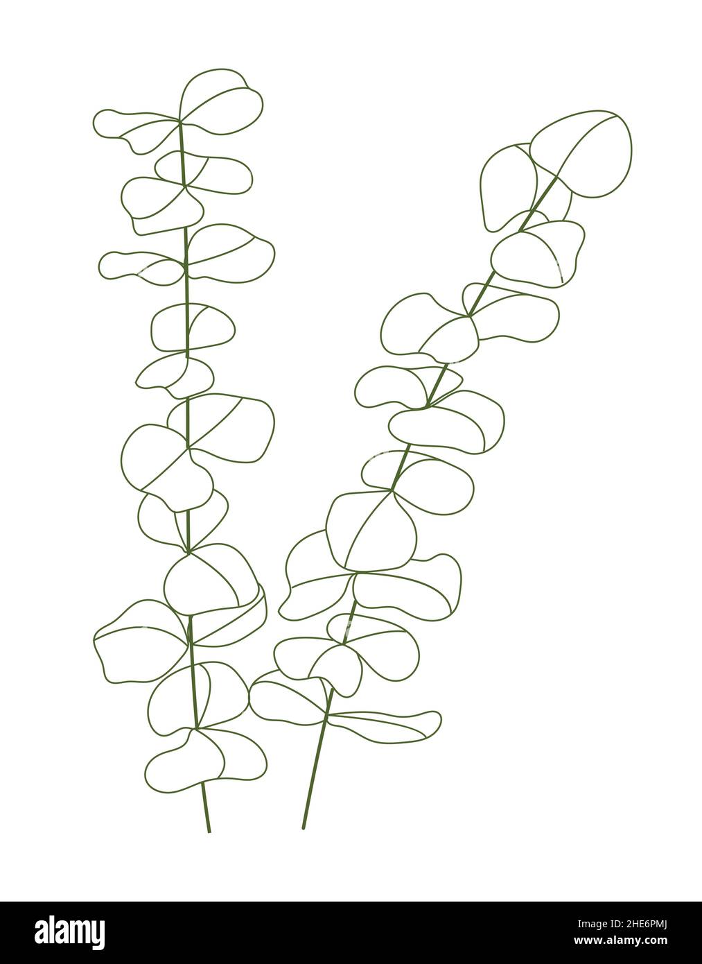 Eucalyptus branch vector in line style. Bohemian eucalyptus leaves ...