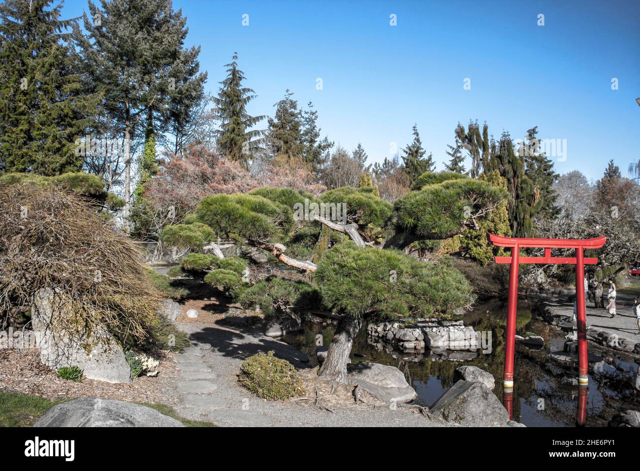 View of a beautiful Japanese traditional garden with a red torii gate ...