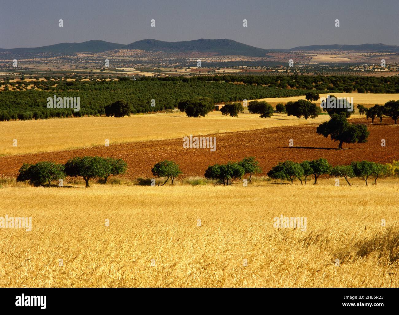 La serena peneplain hi-res stock photography and images - Alamy