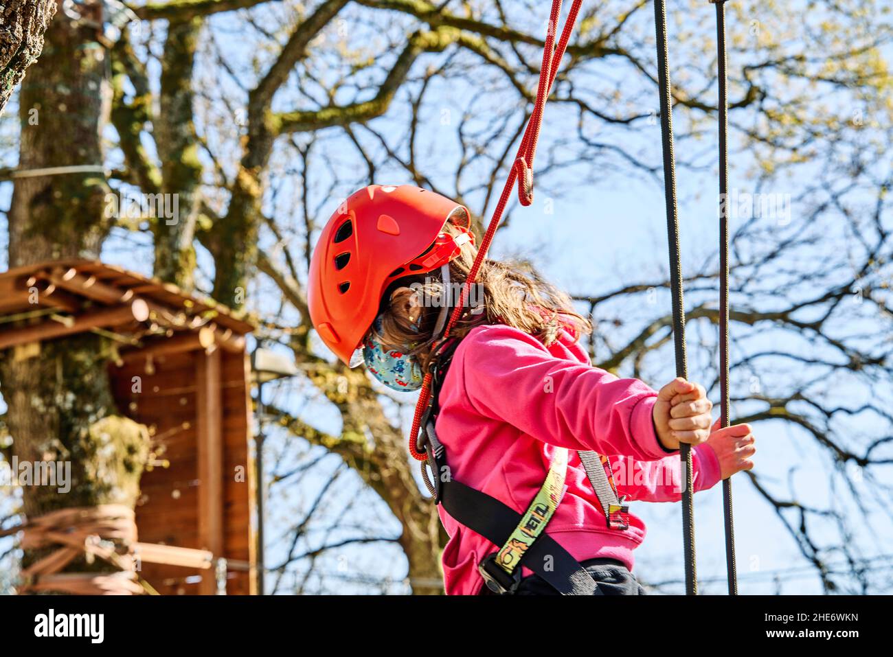 Little girl with protections practicing climbing between trees with ...