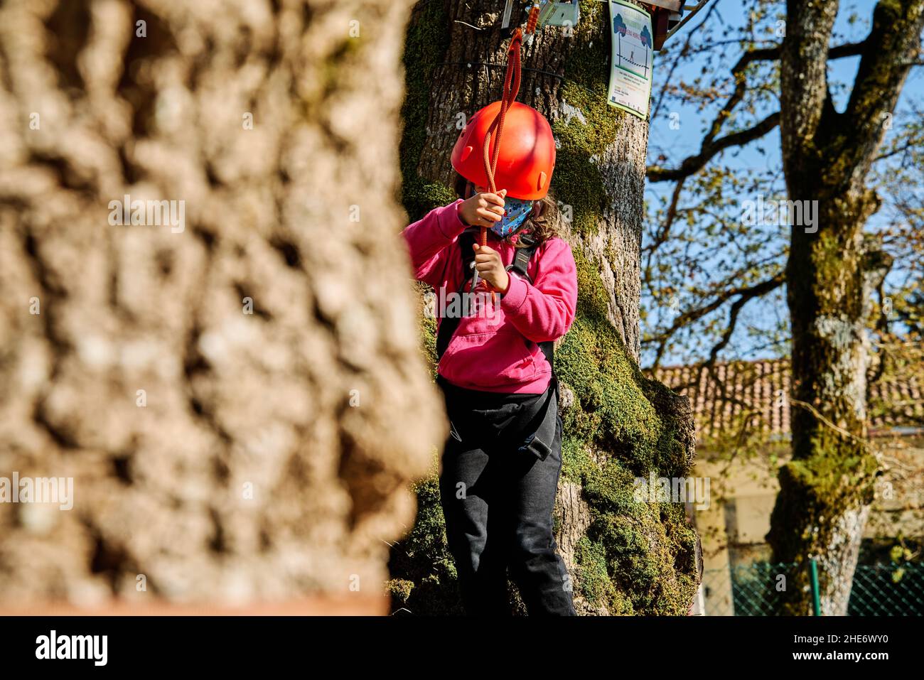 Little girl with protections practicing climbing between trees with ...