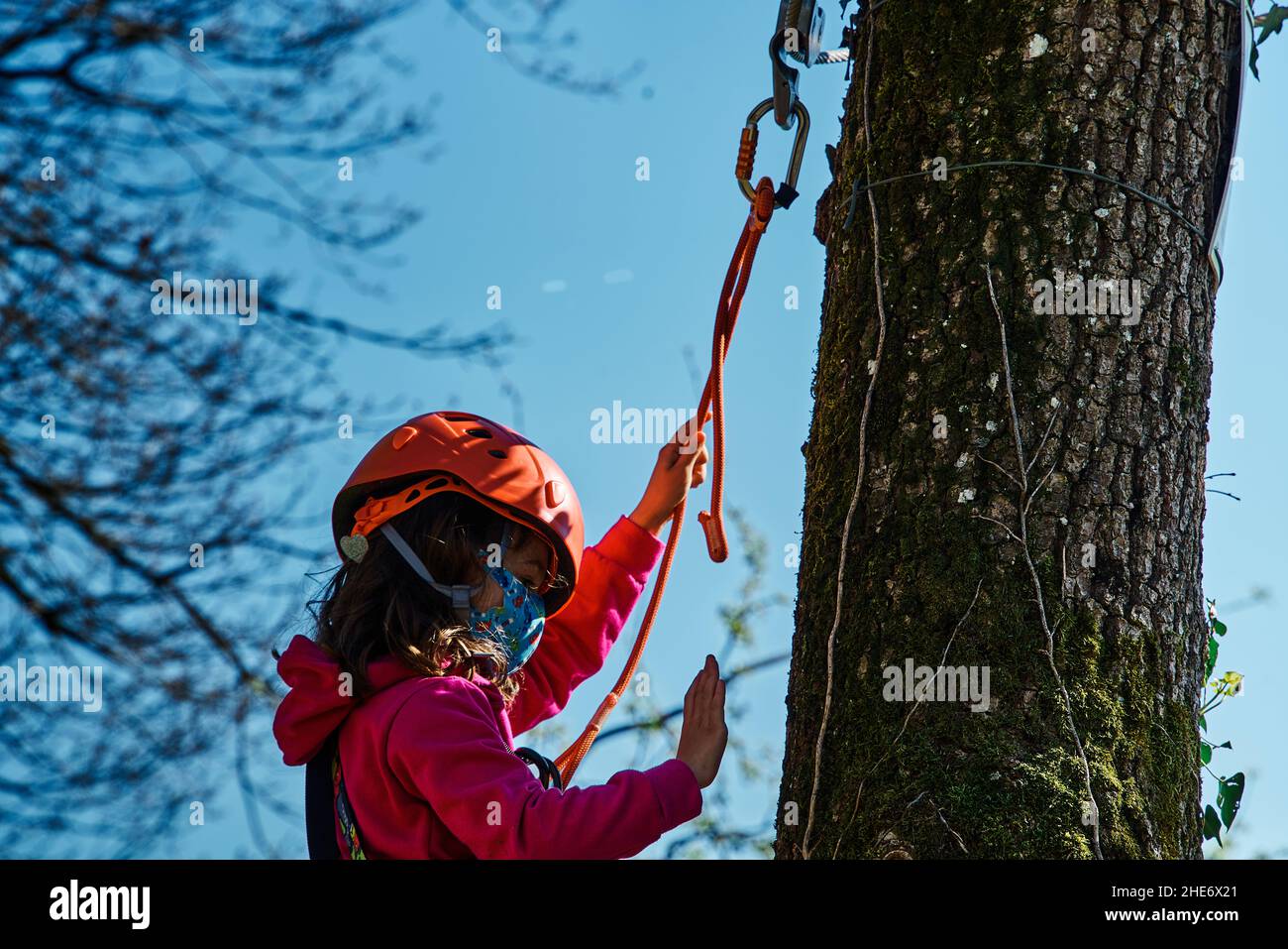 Little girl with protections practicing climbing between trees with ...