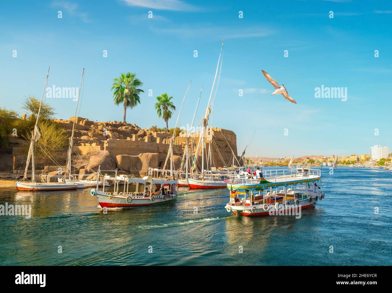 Sailing on river Nile in Aswan, Egypt Stock Photo - Alamy