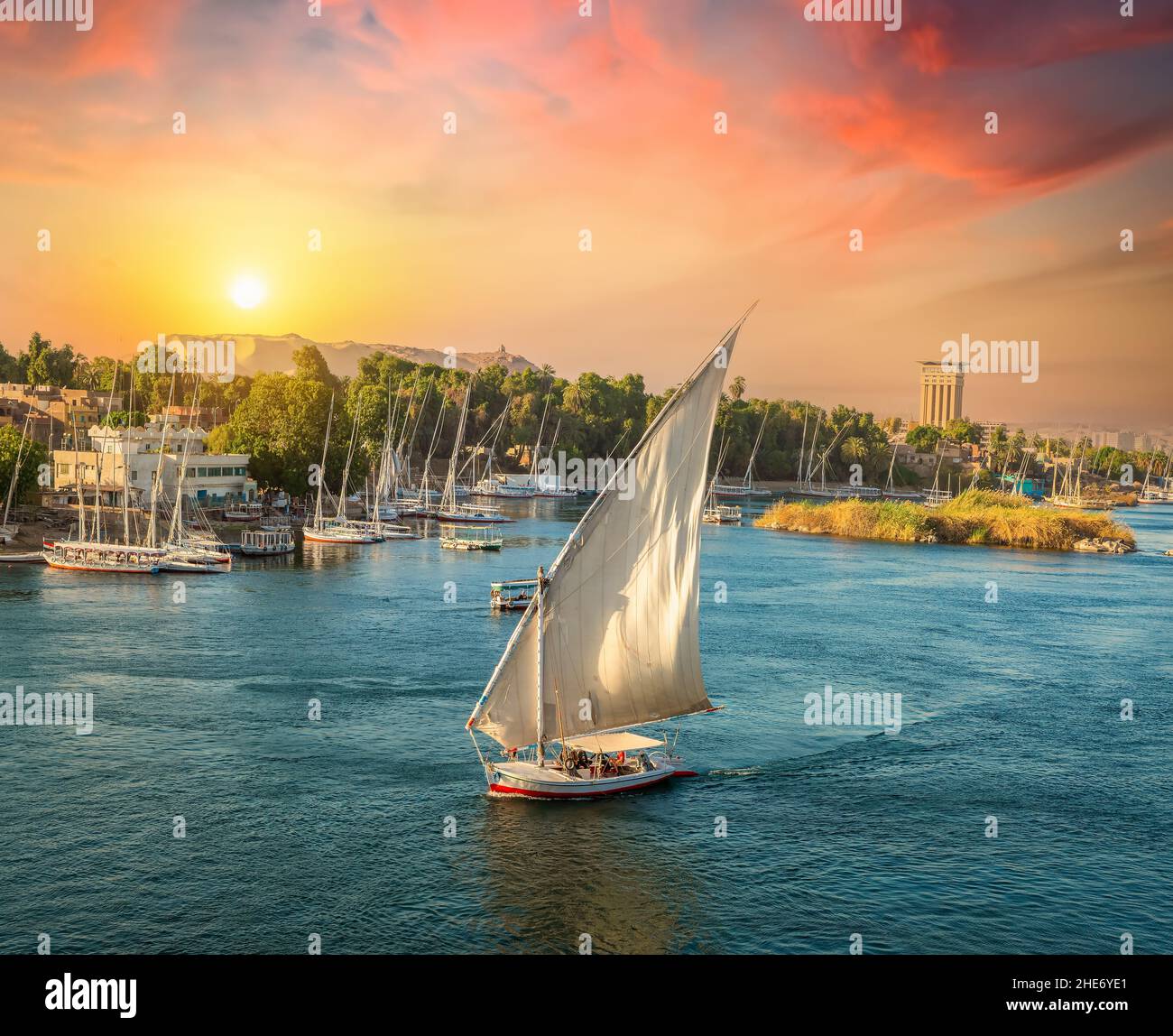 Egyptian sailor sailing felucca on hi-res stock photography and images ...
