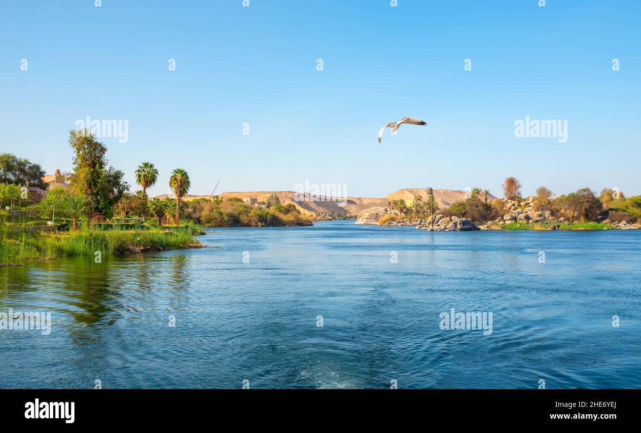 Panorama river Nile and boats at sunset in Aswan Stock Photo - Alamy