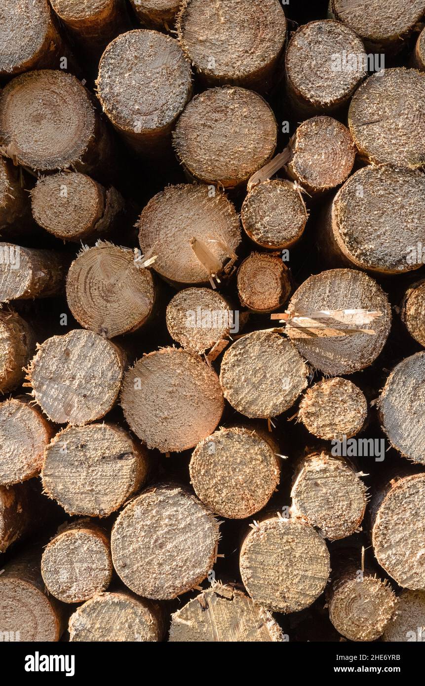 Cross section front view hi-res stock photography and images - Alamy