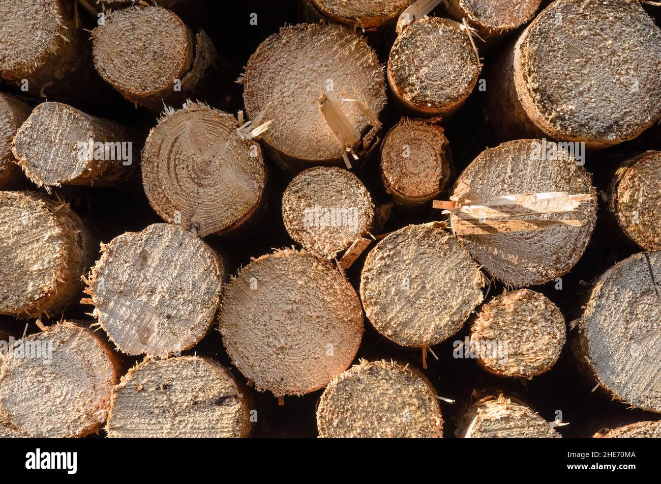 Cross section front view hi-res stock photography and images - Alamy