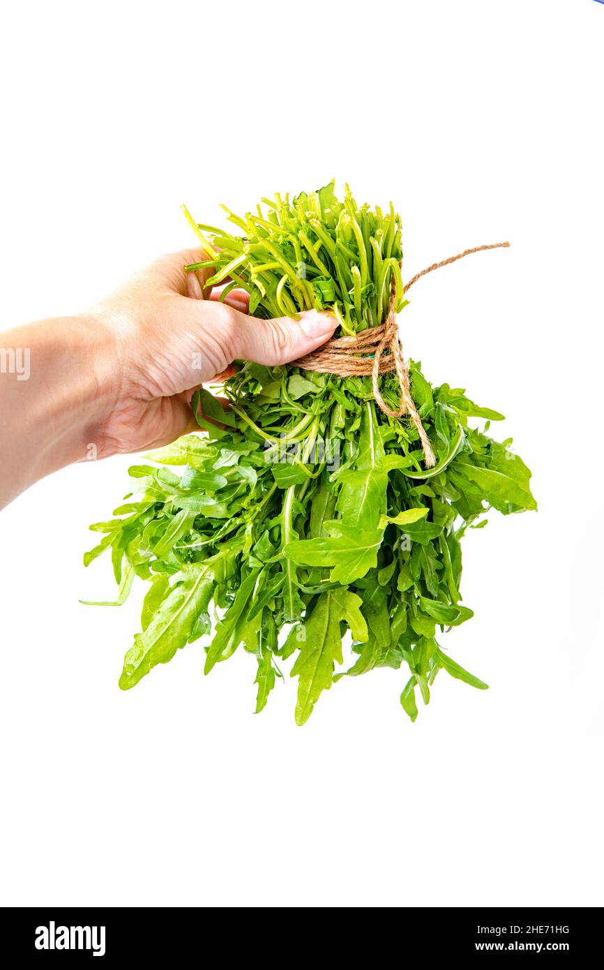 Fresh organic green ruccola held in hand on white background isolated ...