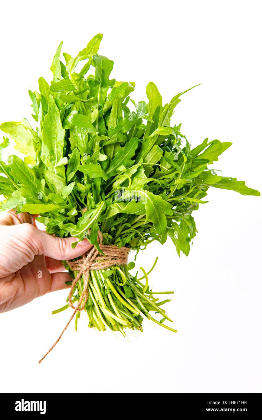 Fresh organic green ruccola held in hand on white background isolated ...