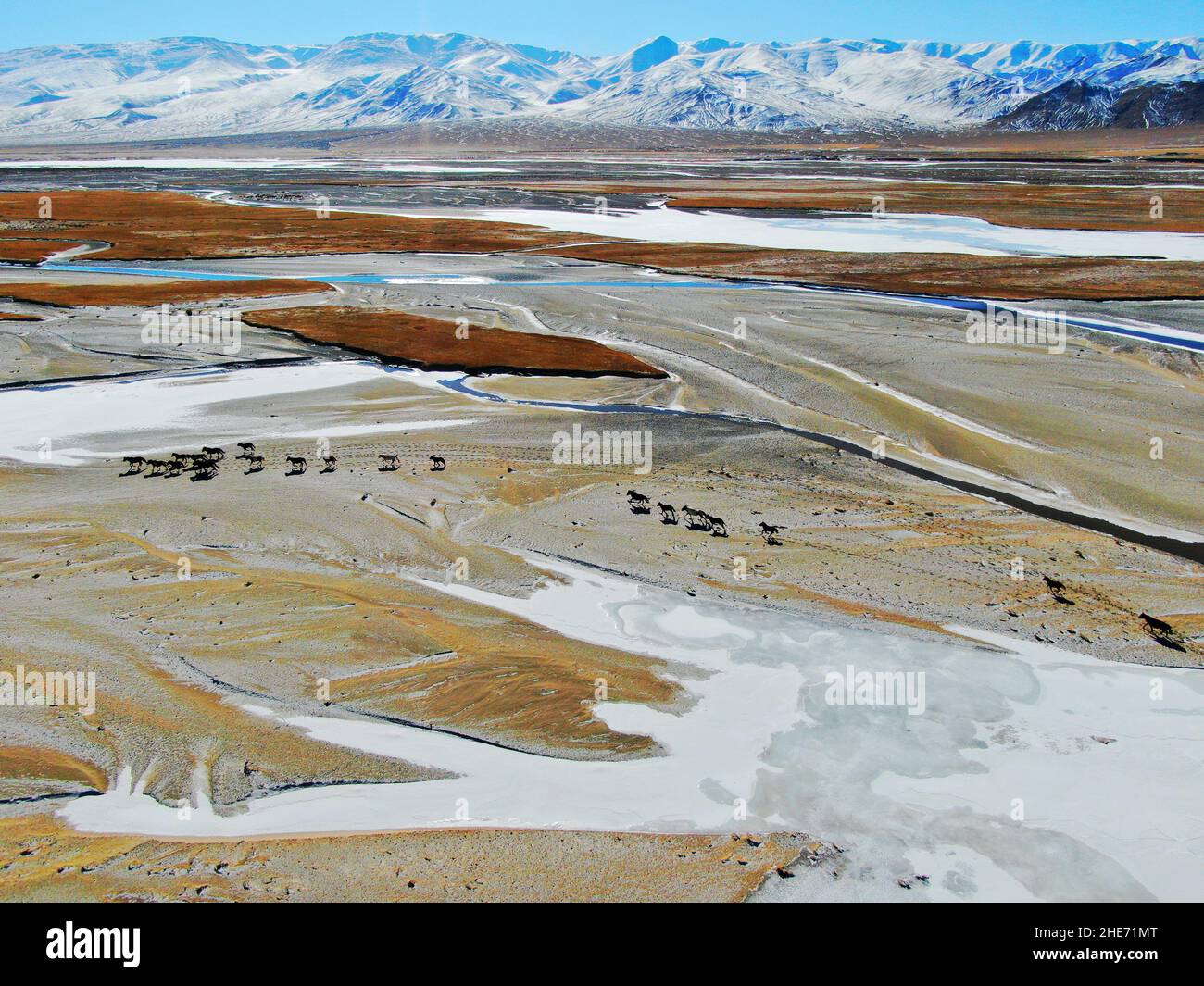 Aerial of horses running hi-res stock photography and images - Alamy