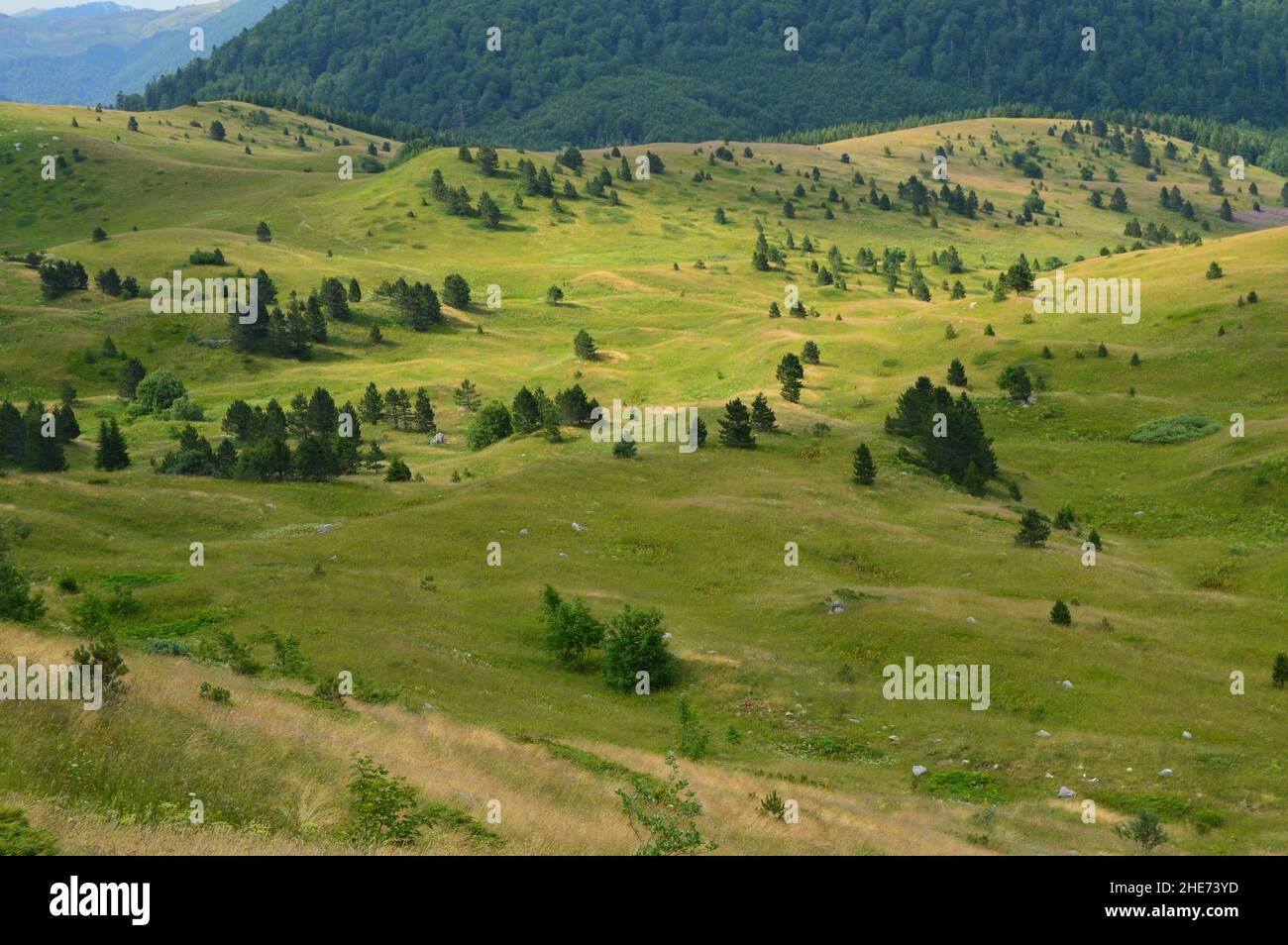 Hiking on Zelengora mountain, Ugljesin vrh, Bosnia Stock Photo - Alamy