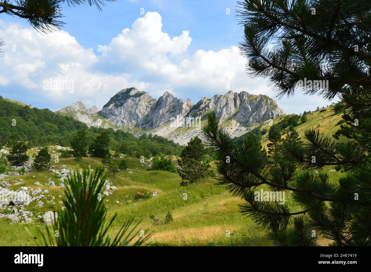 Hiking on Zelengora mountain, Ugljesin vrh, Bosnia Stock Photo - Alamy