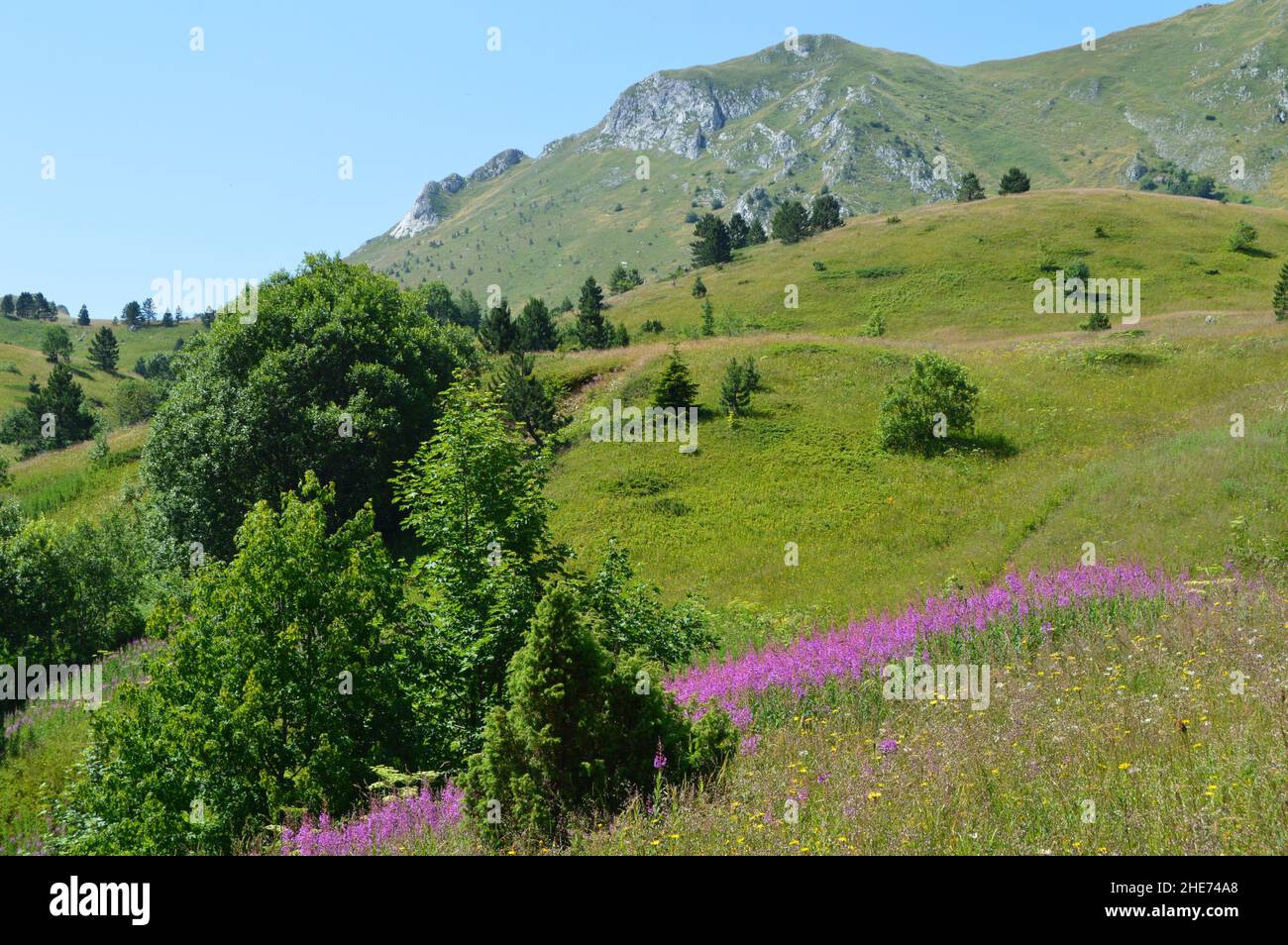 Hiking on Zelengora mountain, Ugljesin vrh, Bosnia Stock Photo - Alamy