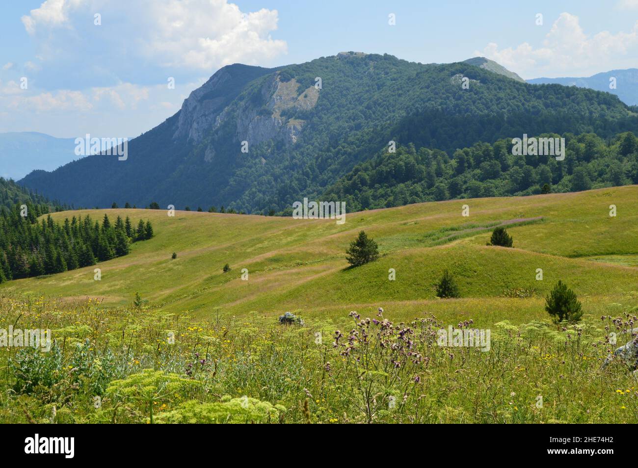 Hiking on Zelengora mountain, Ugljesin vrh, Bosnia Stock Photo - Alamy